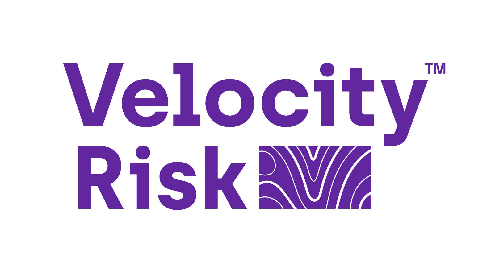 Velocity Risk